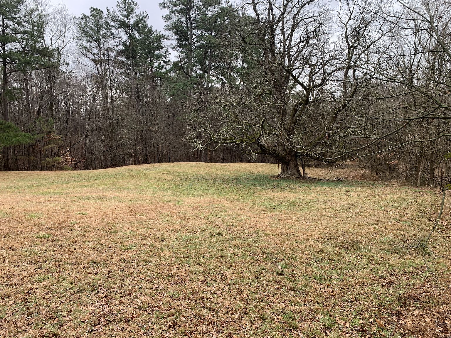 0 Bishop Rd LOT 2, Middleton, TN 38052 | Zillow