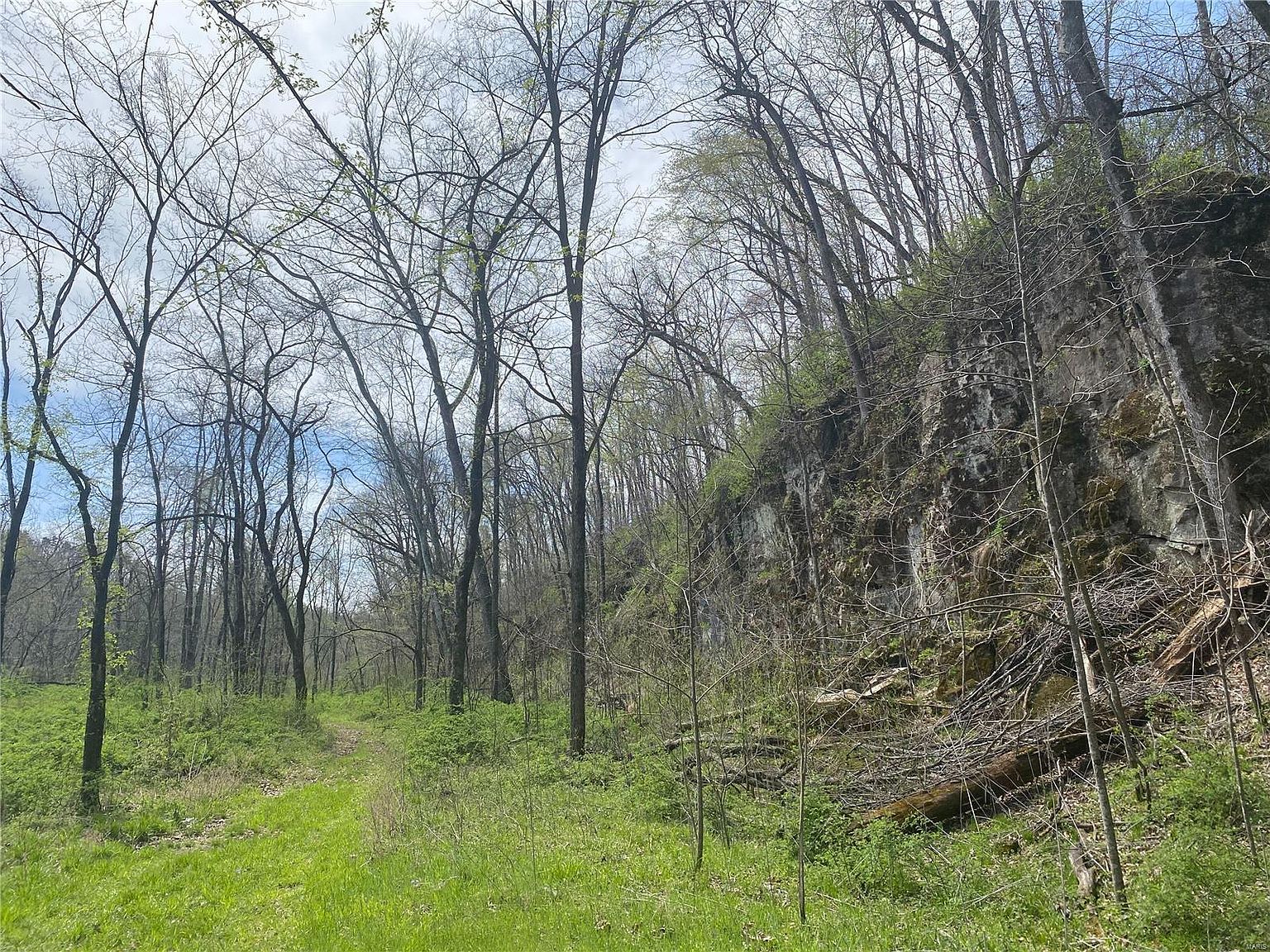 0 County Road 846, Boss, MO 65440 | Zillow