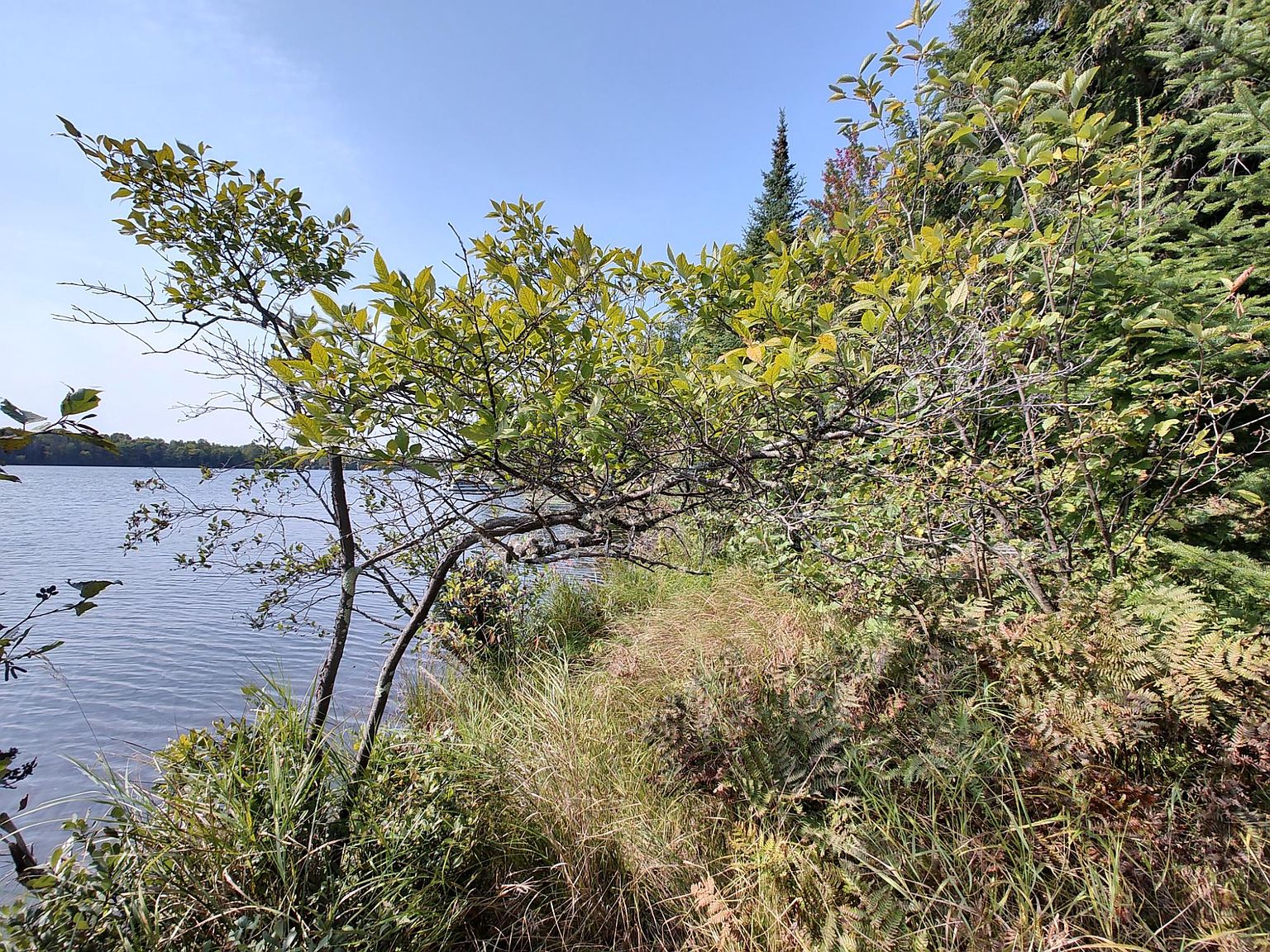 Stateline Lake Rd E LOT 3, Marenisco, MI 49947 | MLS #205153 | Zillow