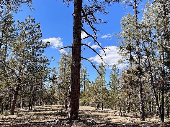 LOT 44 S Diamond Point, Payson, AZ 85541 | MLS #6814630 | Zillow