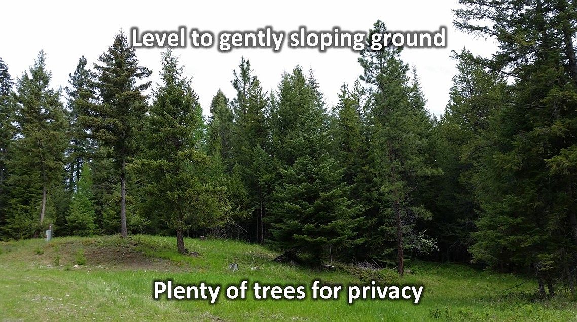 84 Treasure Mountain Ln, Libby, MT 59923 | MLS #30054743 | Zillow