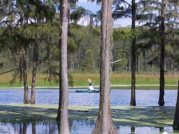 Mayo FL Real Estate - Mayo FL Homes For Sale | Zillow