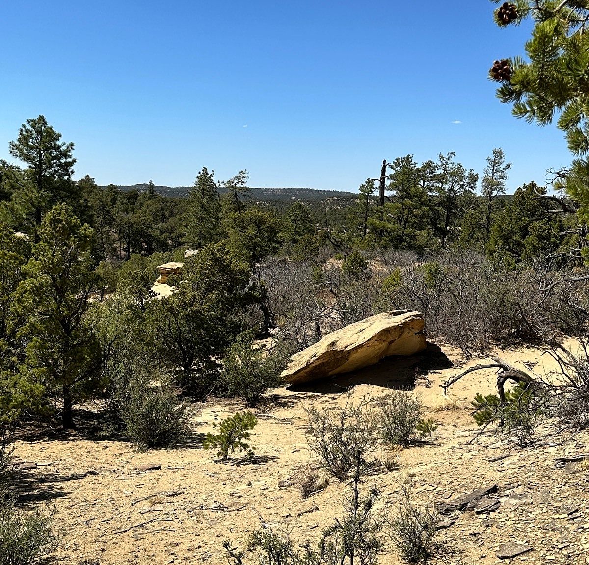 Xx N Ranchero Rd #44, Pie Town, NM 87827 | MLS #11513120 | Zillow