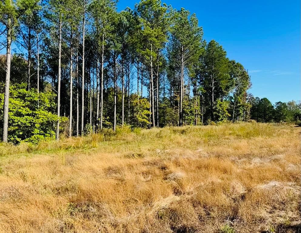 County Road 387, Water Valley, MS 38965 | MLS #159497 | Zillow