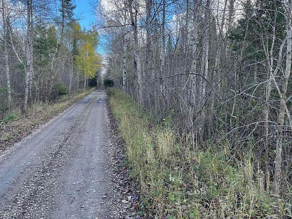 11900 W Irish Line Rd, Brimley, MI 49715 | MLS #24041369 | Zillow