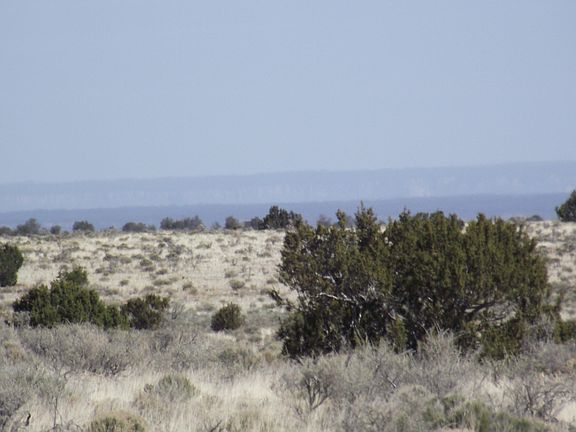 7296 Latigo Rd #327, Williams, AZ 86046 | MLS #197447 | Zillow