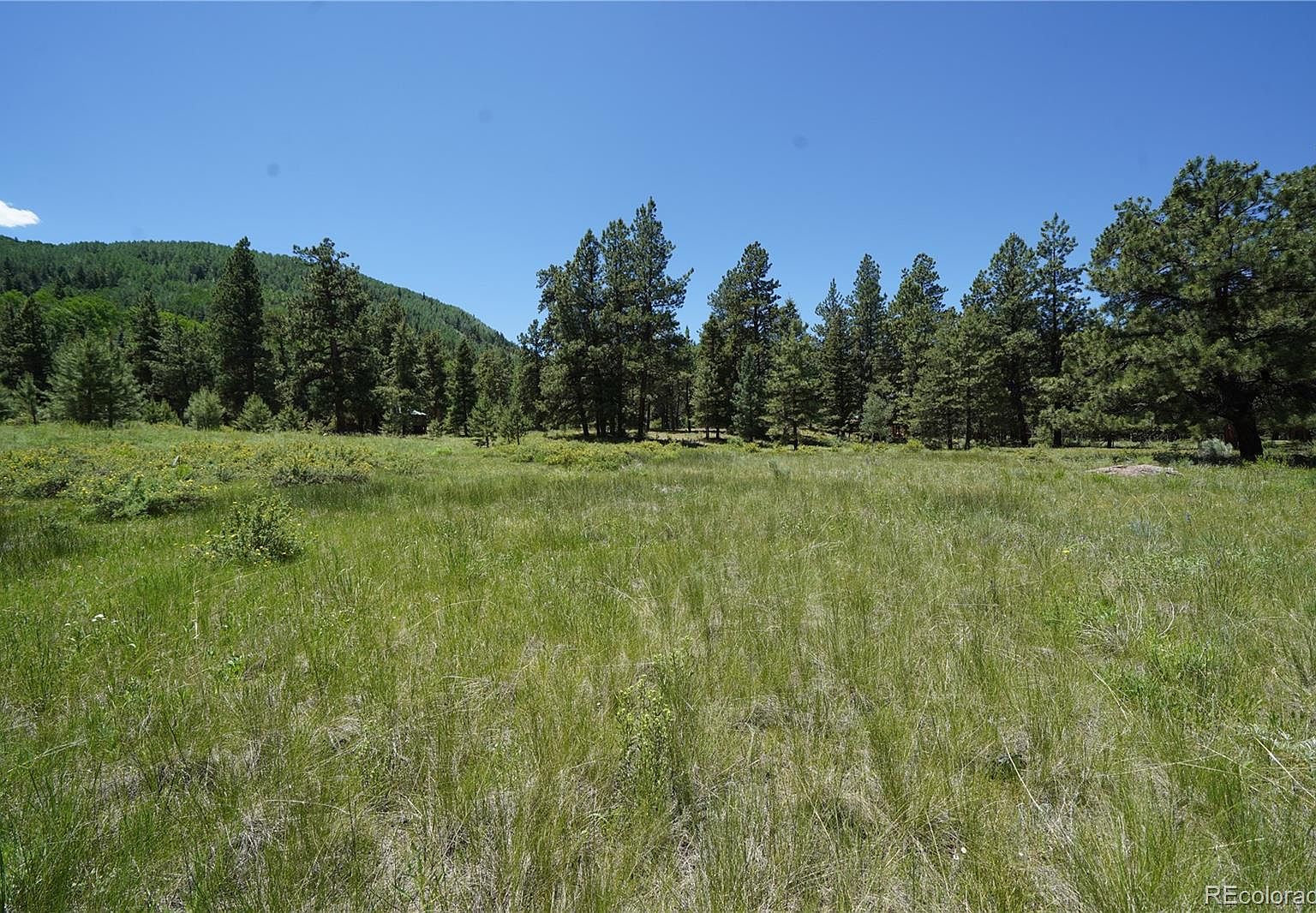 136 Elk Meadow Run, Antonito, CO 81120 | MLS #5639807 | Zillow