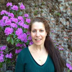 Sonia Cohen - Real Estate Agent in Highland Park, IL - Reviews | Zillow