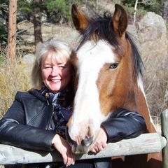 Sandy Jones - Real Estate Agent in Littleton, CO - Reviews | Zillow