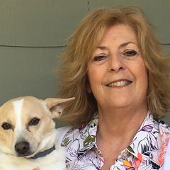 Susan Mowbray - Real Estate Agent in Londonderry, NH - Reviews | Zillow