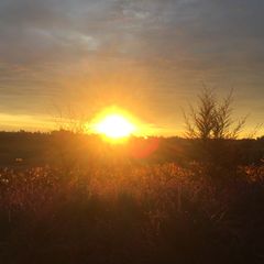 George Capone III - Real Estate Agent in Sebastopol, CA - Reviews | Zillow