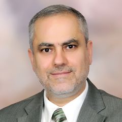 Nasser Safa - Real Estate Agent in Dearborn Heights, MI - Reviews | Zillow