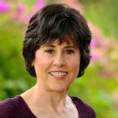 Susan Fishman - Real Estate Agent in Scottsdale, AZ - Reviews | Zillow