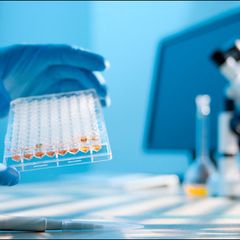 Biohealth lab - Real Estate Professional in Torrance, CA - Reviews | Zillow