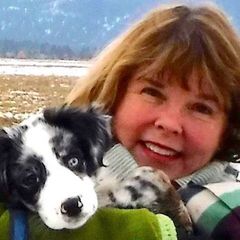 Lisa corbett | Zillow