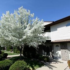 Jennifer Woodley - Property Management in Kenosha, WI | Zillow