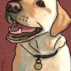 Susan Ferrante-Collier - Real Estate Agent in Northeast Harbor, ME ...