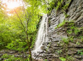 517 Cogdell Trl, Milton, GA 30004 | Zillow