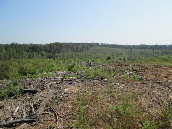 Alabama Land & Lots For Sale - 18,306 Listings | Zillow