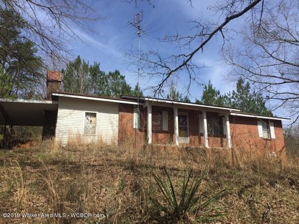 Best Places to Live in Detroit, Alabama