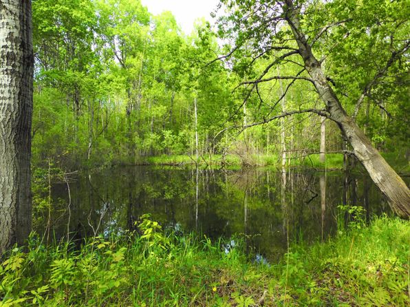 Merritt Real Estate - Merritt MI Homes For Sale | Zillow