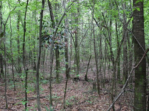 Ruth Real Estate - Ruth MS Homes For Sale | Zillow