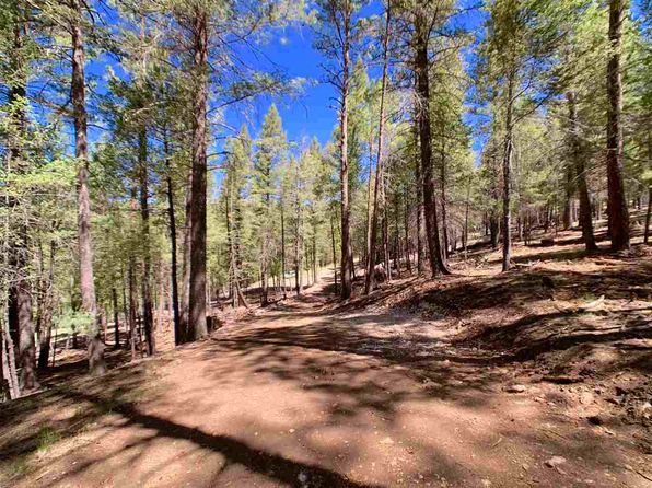 Mayhill Real Estate - Mayhill NM Homes For Sale | Zillow