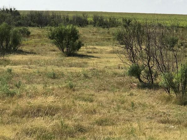Holliday Real Estate - Holliday TX Homes For Sale | Zillow