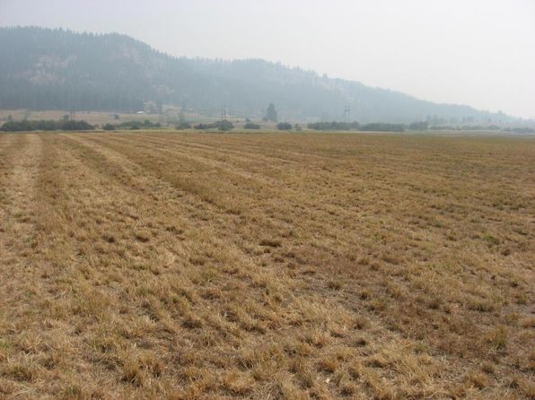 Addy Real Estate - Addy WA Homes For Sale | Zillow