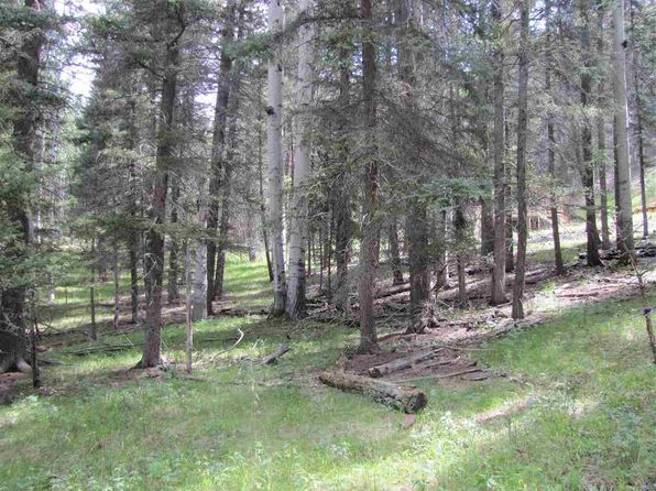 Tererro Real Estate - Tererro NM Homes For Sale | Zillow