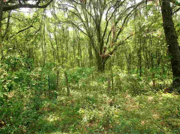 Pinetta Real Estate - Pinetta FL Homes For Sale | Zillow