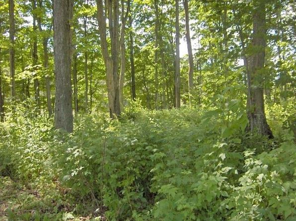 Channing Real Estate - Channing MI Homes For Sale | Zillow