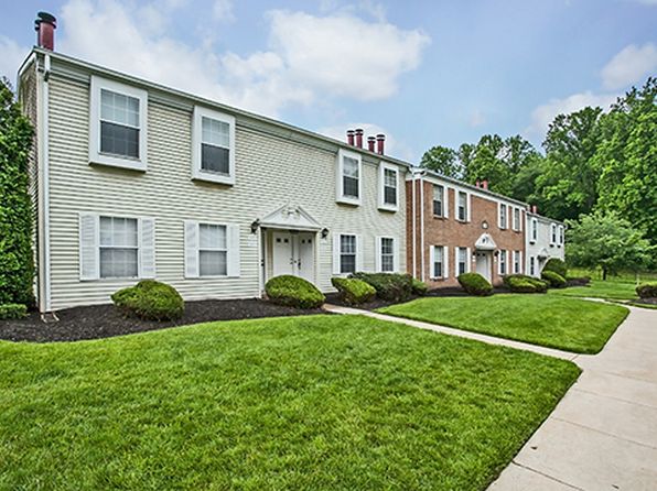 Zillow Rentals Apartments