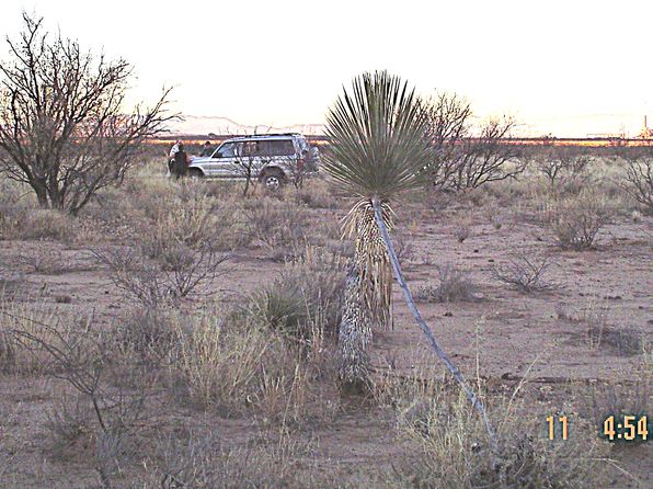 Elfrida Real Estate - Elfrida AZ Homes For Sale | Zillow