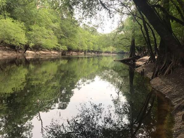 Salters Real Estate - Salters SC Homes For Sale | Zillow