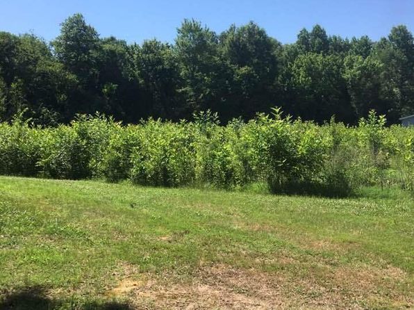 Atkins Real Estate - Atkins AR Homes For Sale | Zillow