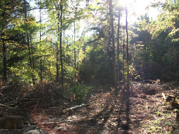 Holton Real Estate - Holton MI Homes For Sale | Zillow