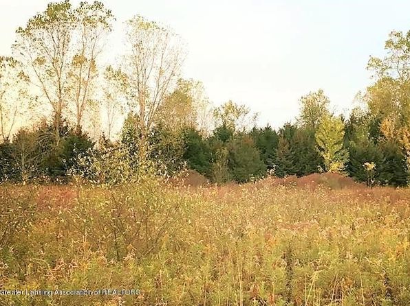 Fowler Real Estate - Fowler MI Homes For Sale | Zillow