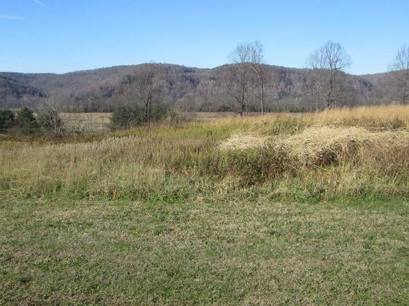 Lewis County Real Estate - Lewis County KY Homes For Sale | Zillow