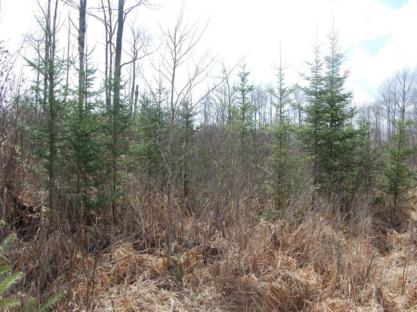 Merritt Real Estate - Merritt MI Homes For Sale | Zillow