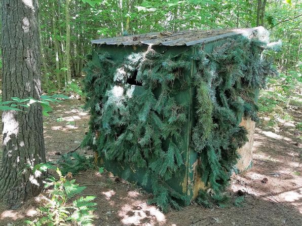 Merritt Real Estate - Merritt MI Homes For Sale | Zillow