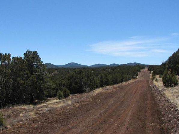 Concho Real Estate - Concho AZ Homes For Sale | Zillow