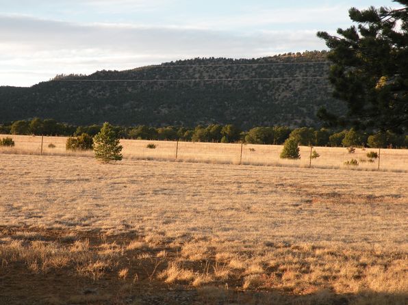 Cimarron Real Estate - Cimarron NM Homes For Sale | Zillow