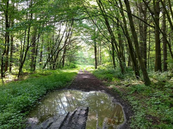 Seward Real Estate - Seward PA Homes For Sale | Zillow