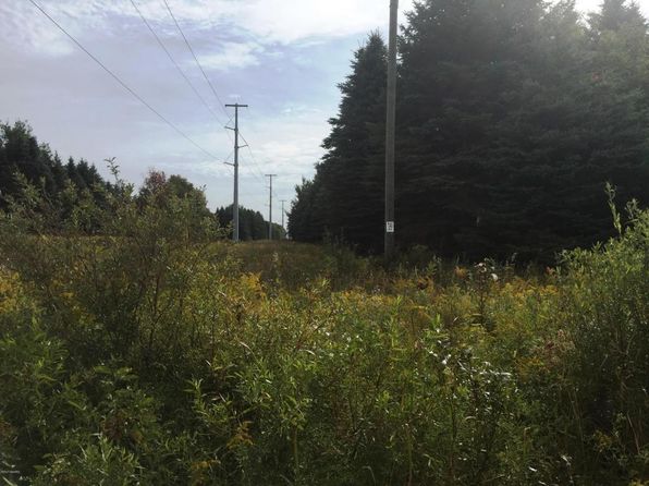 Chase Real Estate - Chase MI Homes For Sale | Zillow