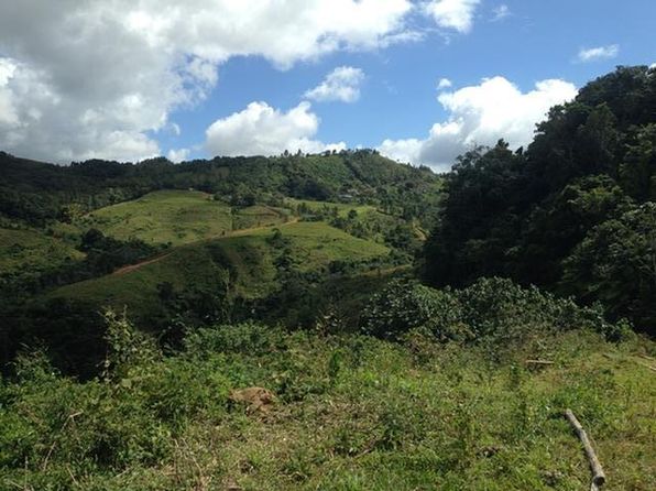 Orocovis Real Estate - Orocovis PR Homes For Sale | Zillow