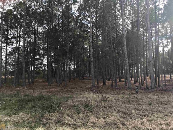 Chester Real Estate - Chester GA Homes For Sale | Zillow