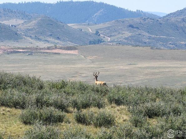 Laporte Real Estate - Laporte CO Homes For Sale | Zillow