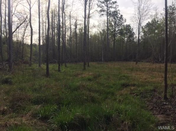 Gordo Real Estate - Gordo AL Homes For Sale | Zillow