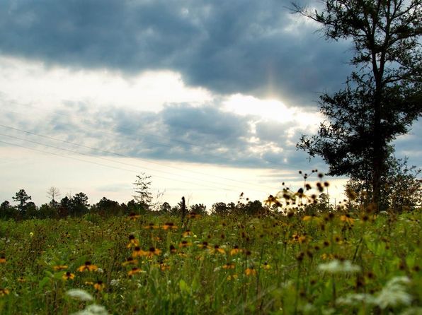 Best Places to Live in Midway, Texas